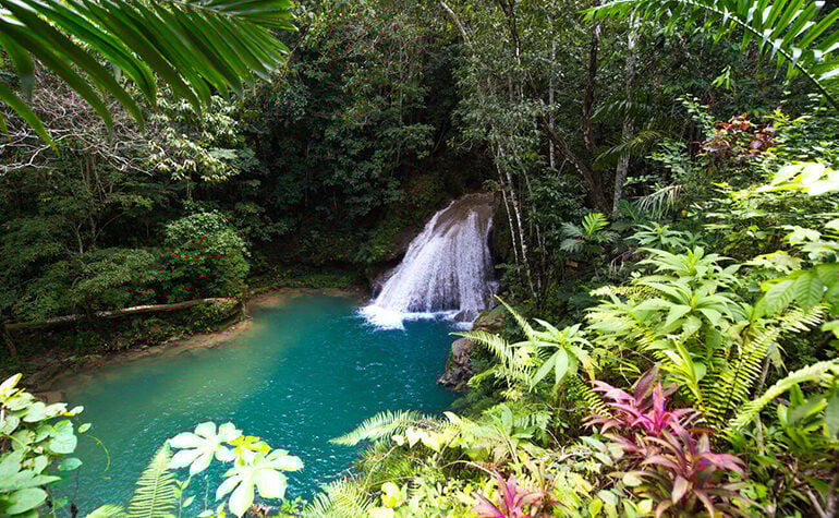 Six Must-Do Tours & Excursions for First-Timers to Jamaica
